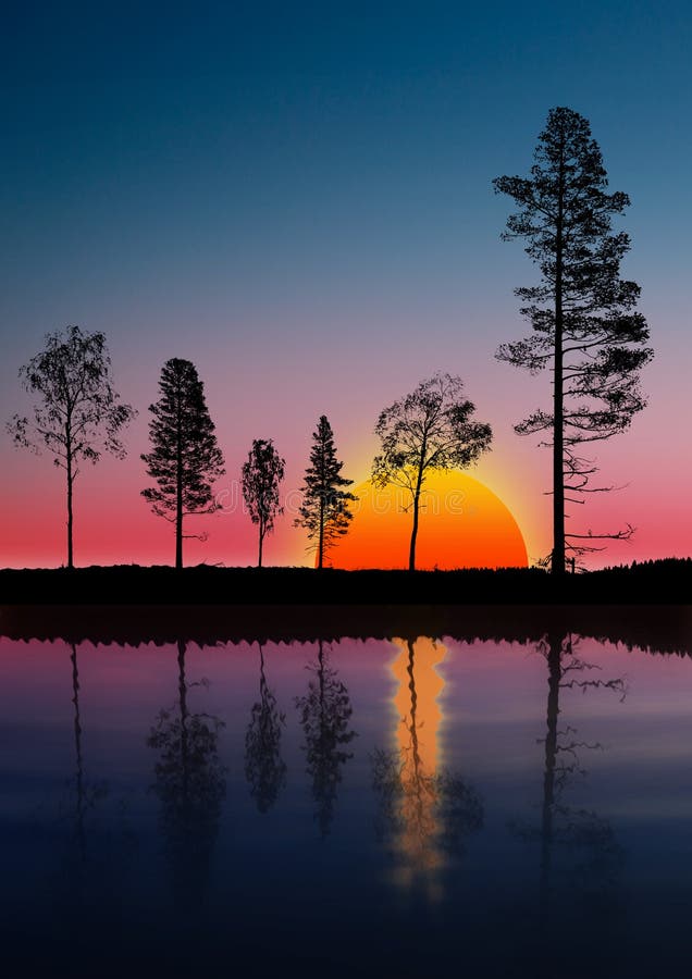 Silhouettes of Trees at Sunrise Stock Photo - Image of dusk, beauty ...
