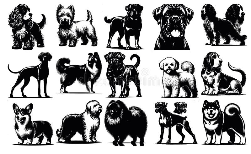 A Bulk Set of Dog Breed Silhouette Pack Stock Vector - Illustration of ...