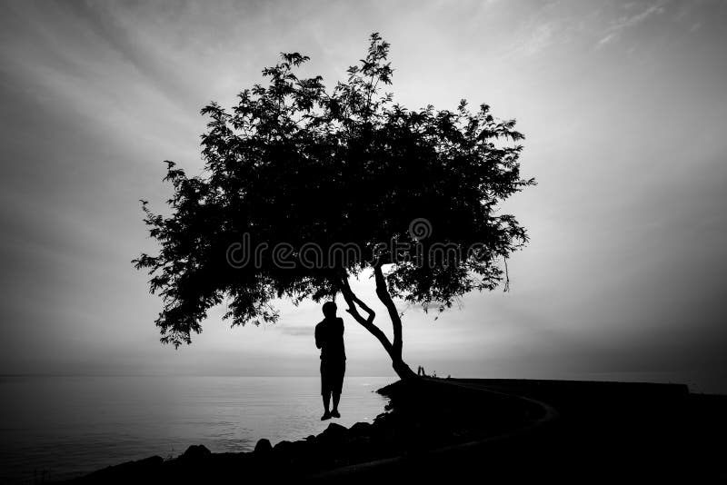 227 Man Under Lonely Tree Photos - Free & Royalty-Free Stock Photos ...