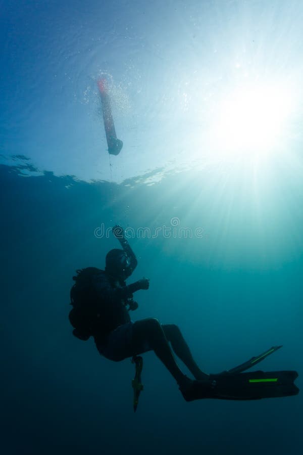 Scuba Smb Stock Photos - Free & Royalty-Free Stock Photos from Dreamstime