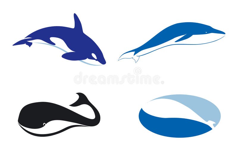 Silhueta da baleia ilustração do vetor. Ilustração de imagem - 18046377
