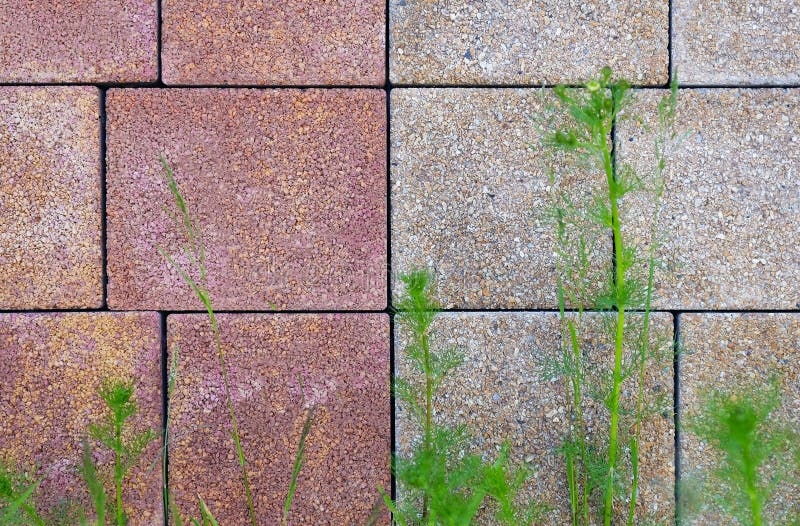 Brick Wall with Variegated Brown Bricks. Used As a Background. Stock ...