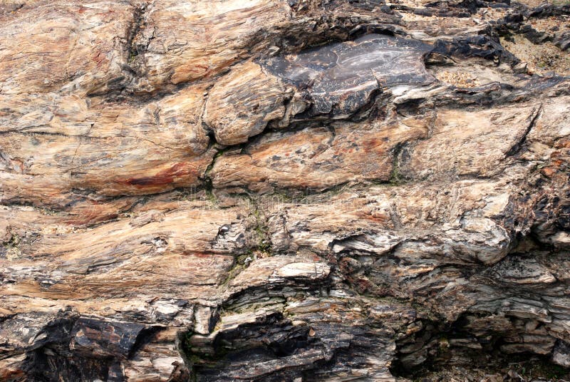 The silicated wood stock image. Image of coarse, china - 5021945
