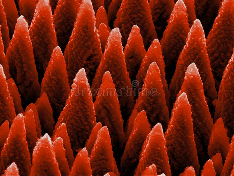 Silicon microstructures stock photo. Image of artificial - 87536406