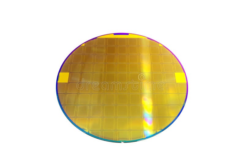 Silicon Wafer of Gold Color with Circuit Processing Isolated on White ...
