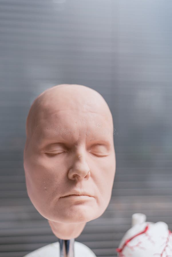 Silicone Face for Training Cosmetological Injections of Botulinum Toxin ...