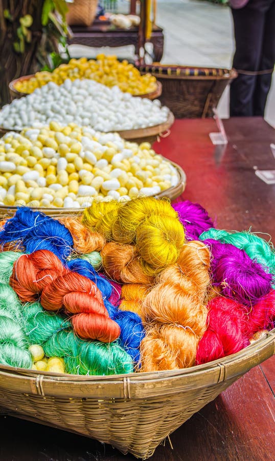 Silk Cocoon in Its Colorful Splendor Created by the Silkworm Stock ...