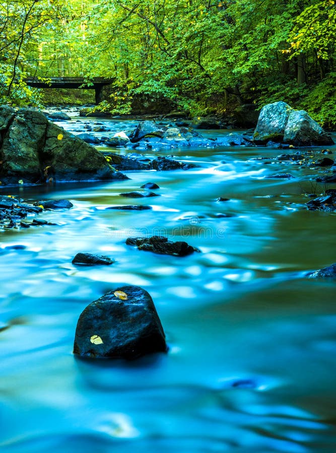 Black river background stock photo. Image of morning - 99981952