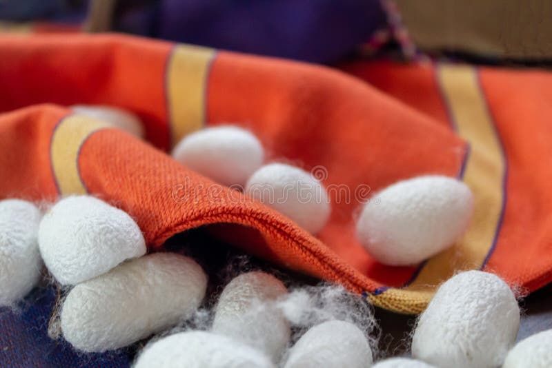 Silk Fabric Pongee Orange Color and Silk Cocoons Stock Photo - Image of ...