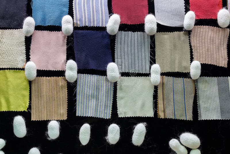 Silk Fabric Samples and Silk Cocoons Stock Photo - Image of organic ...
