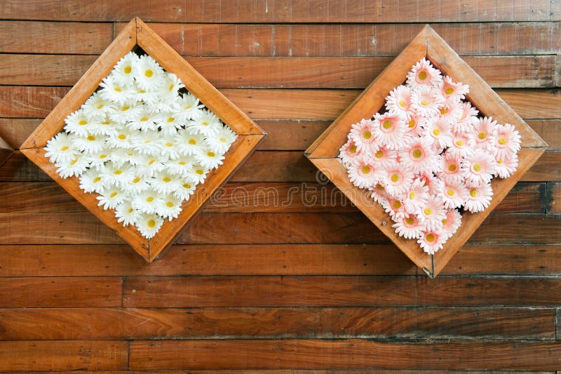 Silk Gerbera Daisies with Frame on Wooden Wall Stock Image - Image of ...