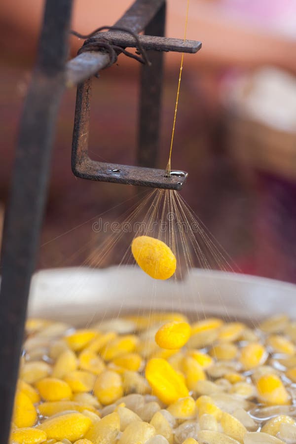 Silk making stock photo. Image of making, natural, larva - 29591088