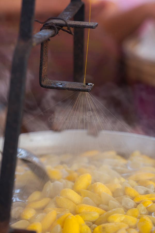 Silk making stock photo. Image of fabric, larva, leaf - 29591110