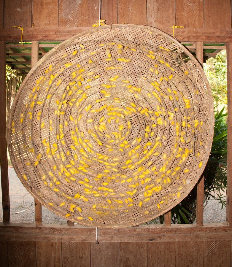 Silk making cambodia stock photo. Image of material, clothing - 28612760