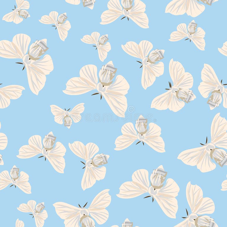 Silk Moth Stock Illustrations – 314 Silk Moth Stock Illustrations ...