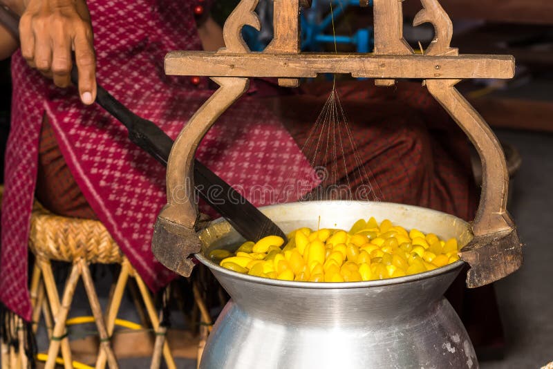 Silk Reeling Process, Collect Silk Stock Image - Image of handmade ...