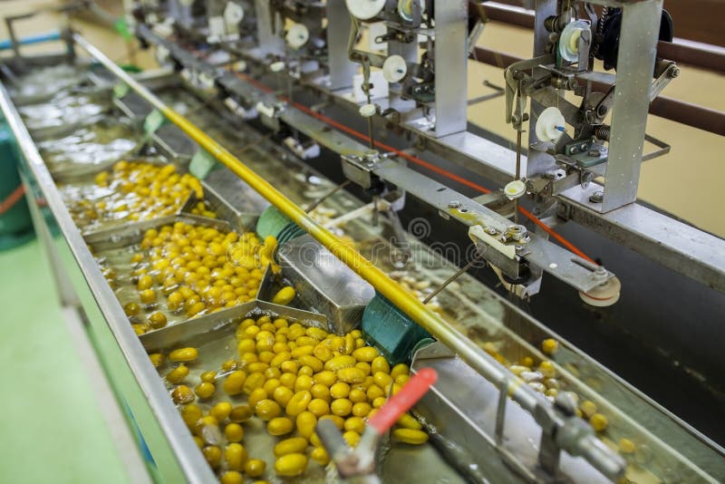 Silk spinning stock photo. Image of making, manufacturing - 39494224