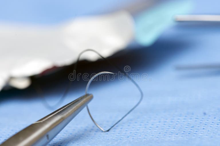 3,823 Frontozygomatic Suture Stock Photos - Free & Royalty-Free Stock ...