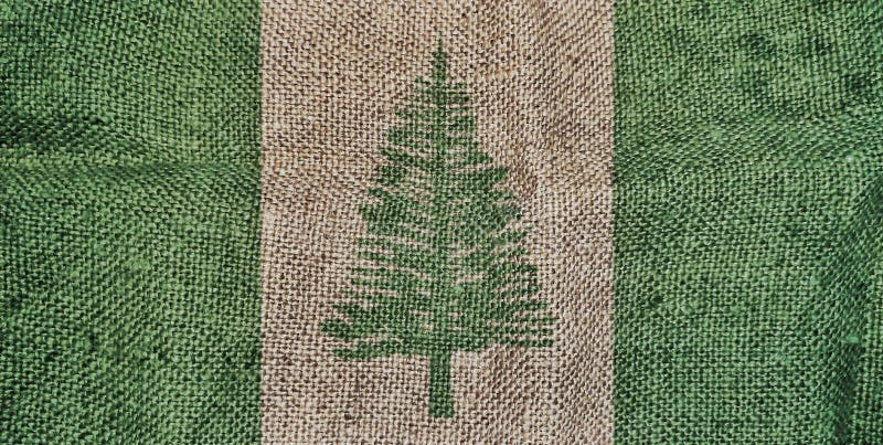 Silk Texture Flag of Norfolk Island Stock Photo - Image of plant, tree ...