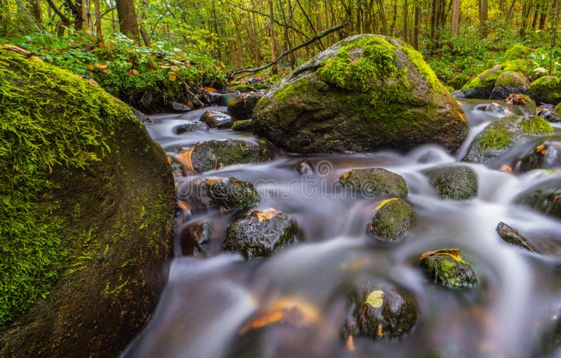 Silk Water and Stones with Moos Stock Photo - Image of leaves, moss ...