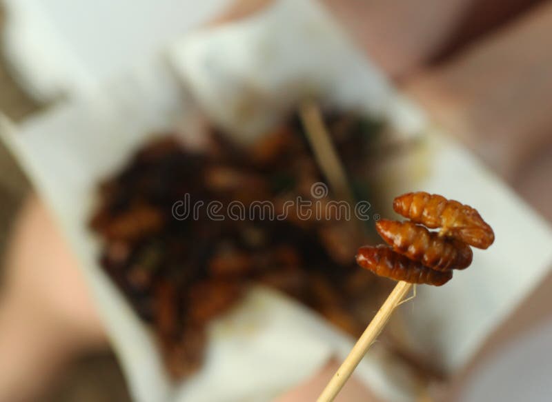 Silkworm on Japanese Stick on the Roasted Insect Mixture Stock Photo ...