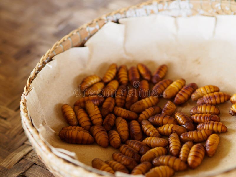 Silkworm, Pupa Fried Is Natural Food,high Protein Stock Photo - Image ...