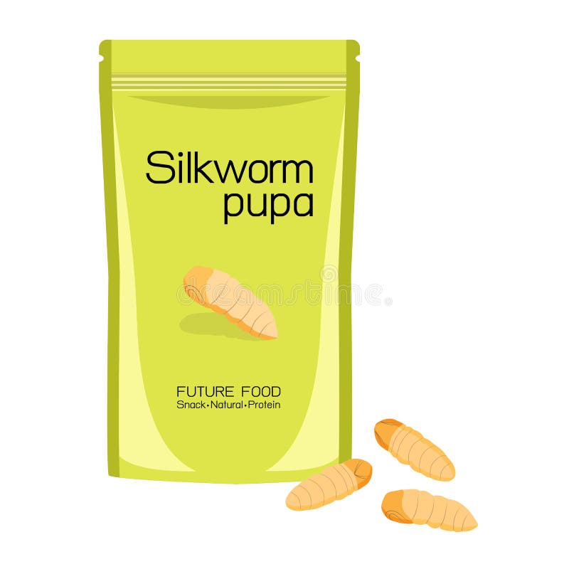 Pupa Chrysalis Stock Illustrations – 1,666 Pupa Chrysalis Stock ...