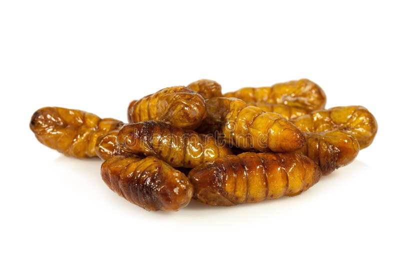 Silkworm Pupae Insects For Eating As Food. Chrysalis Silkworm Deep ...