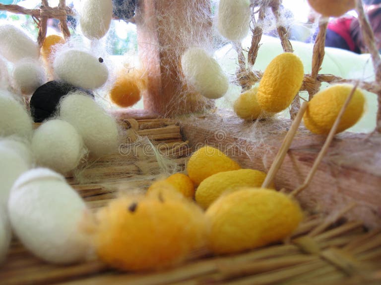 Silkworm stock photo. Image of cocoon, silkworm, spool - 82444848
