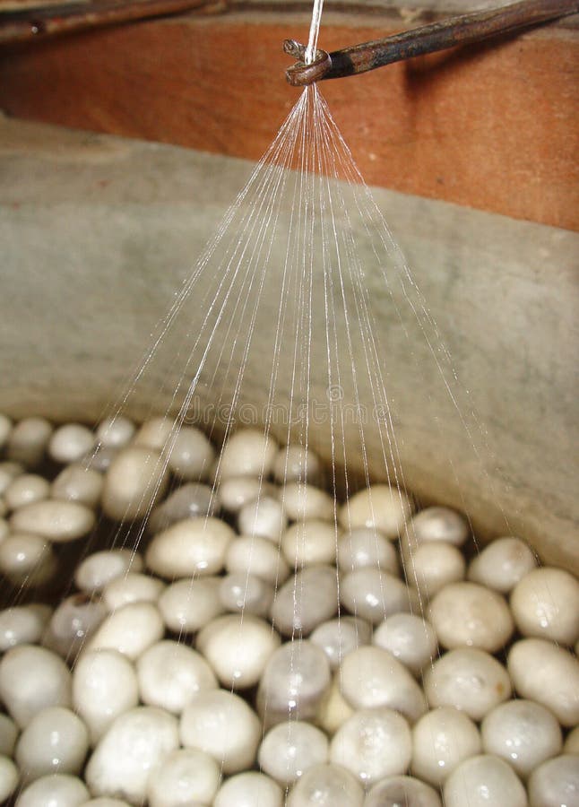 Obtaining Threads Stock Photos - Free & Royalty-Free Stock Photos from ...