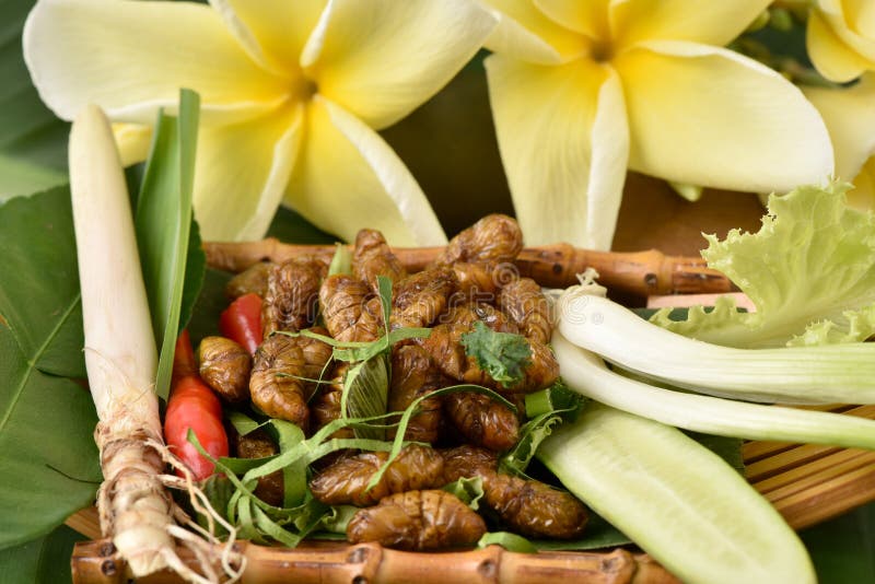 Fried Bombay Locust. (Patanga Succincta Linn.) Stock Image - Image of ...