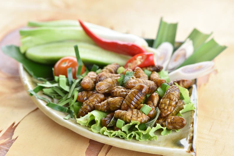 Fried Bombay Locust. (Patanga Succincta Linn.) Stock Image - Image of ...