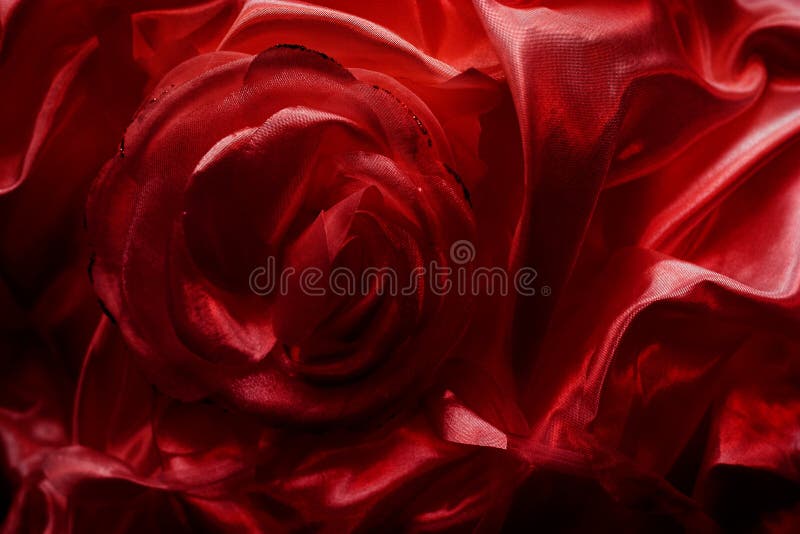 White spiky flower stock photo. Image of love, carefree - 63812