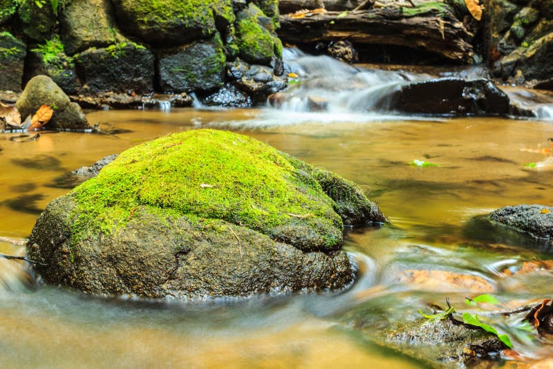 Silky Smooth Stream in the Smoky Mountains Stock Photo - Image of ...