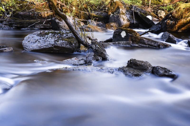 Silky water and stone stock image. Image of nature, leaf - 54027781