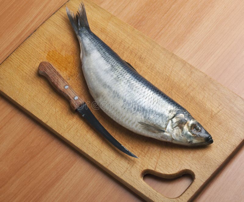 Sill fotografering för bildbyråer. Bild av antihistaminen - 22774175