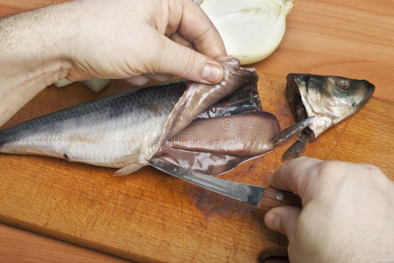 Sill fotografering för bildbyråer. Bild av antihistaminen - 22774175