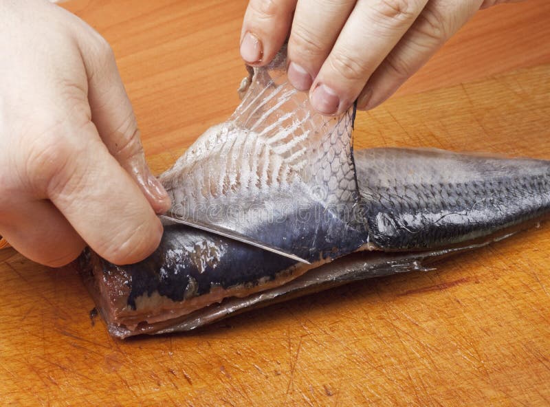 Sill fotografering för bildbyråer. Bild av antihistaminen - 22774175