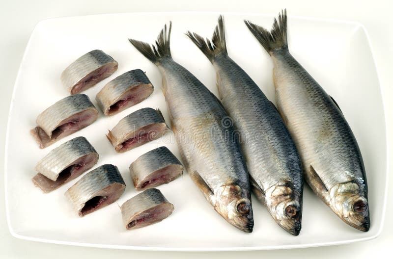 50,162 Sillfisk Stock Photos - Free & Royalty-Free Stock Foton från ...