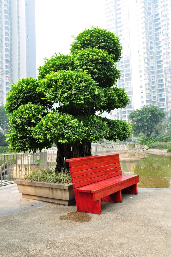 Silla de madera en parque imagen de archivo. Imagen de roble - 28105249
