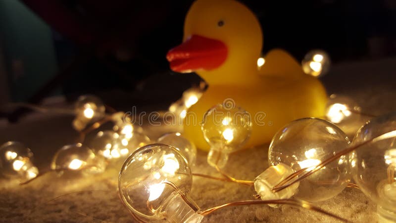 Duck in Lights stock image. Image of silly, rubber, lights - 122149661