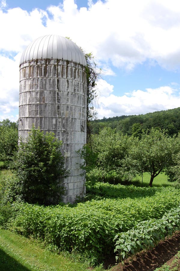 Silo stock image. Image of summer, country, grain, farm - 10088893