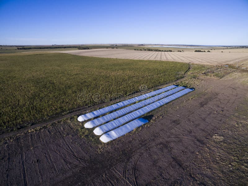 Silo bag, grain storage stock photo. Image of agriculture - 195715094