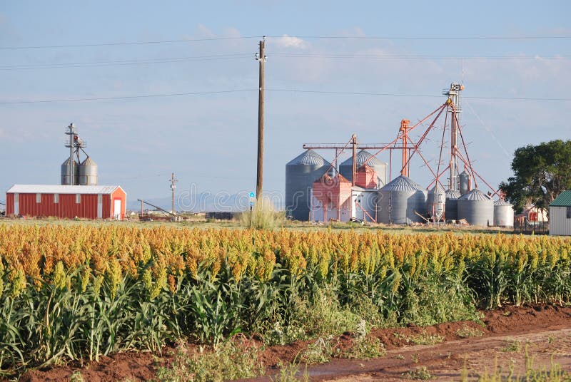 Silo di granulo immagine stock. Immagine di cielo, silo - 10838803