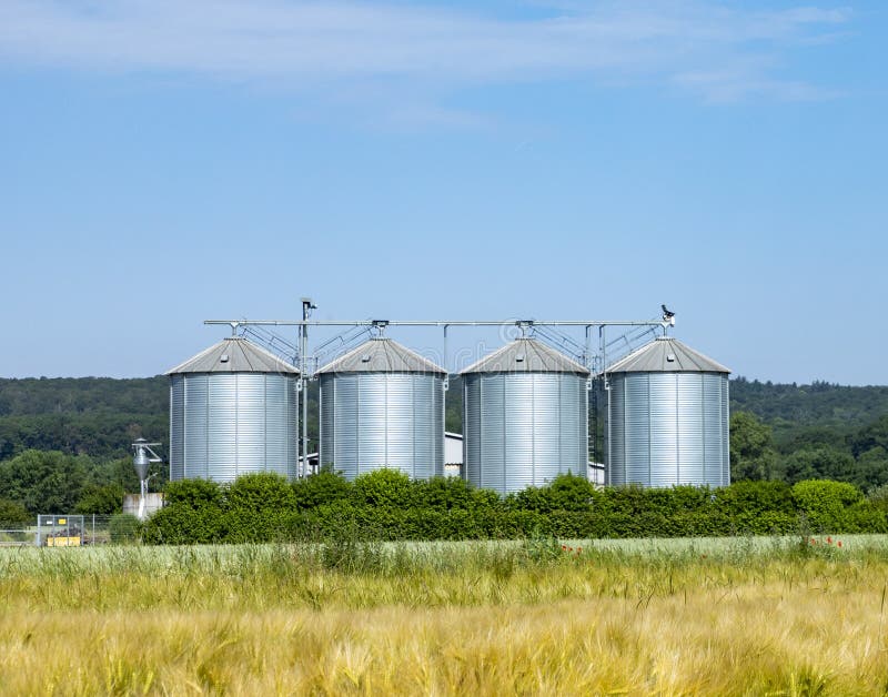 Silo at the Field for Corn Under Blue Sky Stock Image - Image of ...