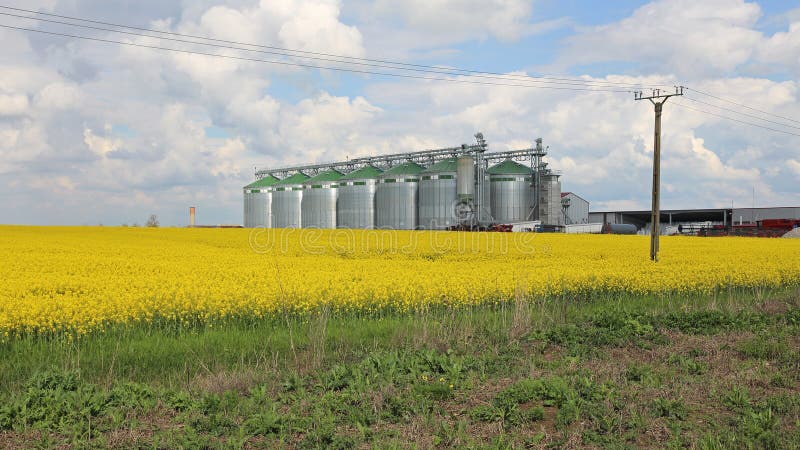 Silo in a field stock image. Image of metal, rusty, silo - 13841339