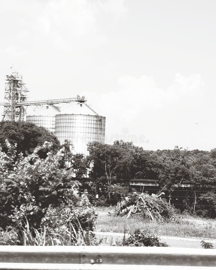 Silo fill stock photo. Image of silo, tree, road, graywash - 119047458