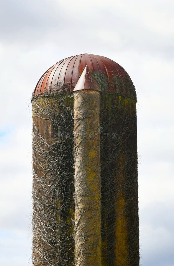 Silo with Red Tin Top stock image. Image of overgrown - 324604941