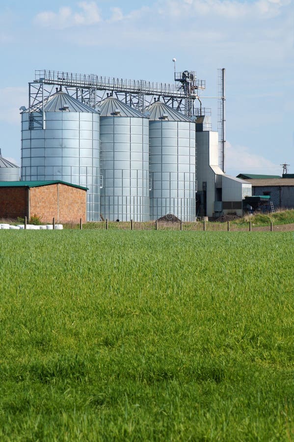 Silos For Animal Feed. A Feed Mixer In A Large Farm. Stock Image ...