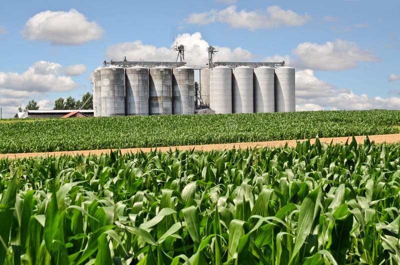 Attractive Barn and Silo in Wisconsin Stock Image - Image of farm ...